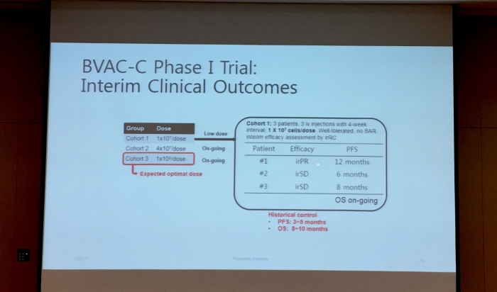셀리드의 新개념 세포치료제 'BVAC-C' 임상진행 상황은? - 바이오스펙테이터