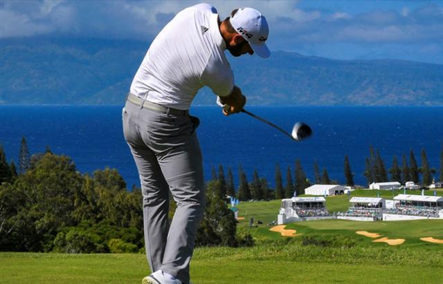 SBS골프, PGA투어 센트리 8일 오전 5 | 이미지 - 이투데이