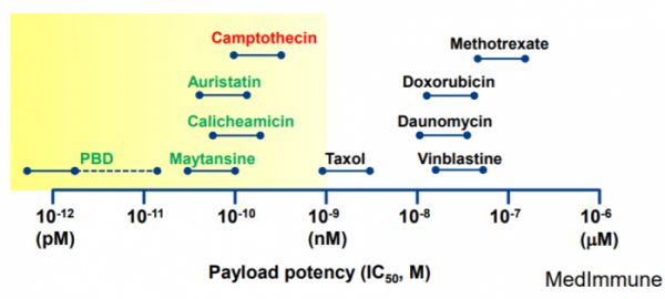 '항암제 내성극복' 新대안, 차세대 ADC 주목하는 이유 - 바이오스펙테이터