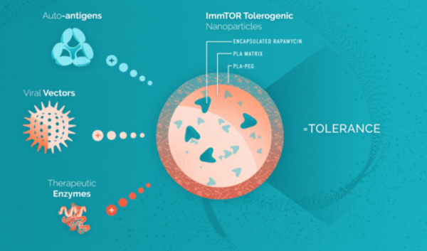 다케다, 셀렉타 """"면역관용 AAV 플랫폼"""" 11.24억弗 딜 국내외뉴스-제약산업정보포털